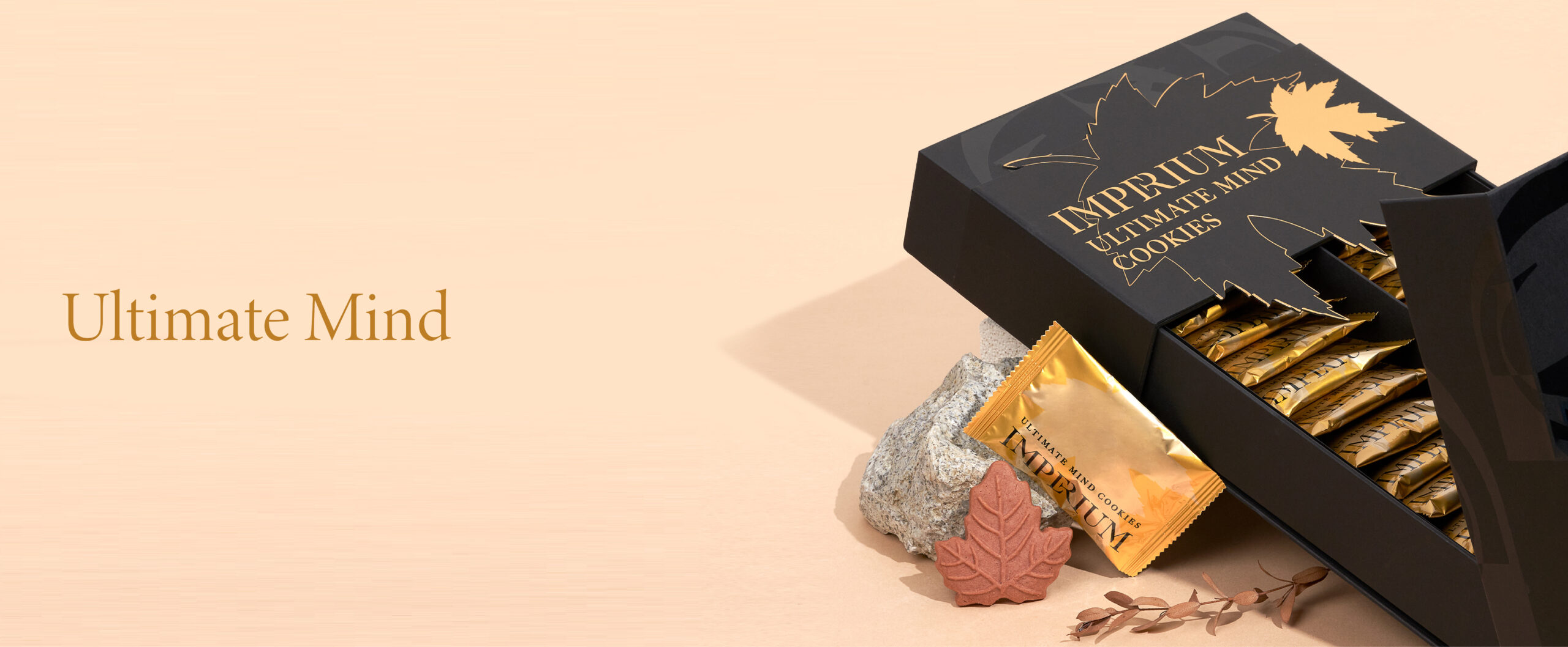 Ultimate Mind - EN - IMPERIUM GRP SDN BHD